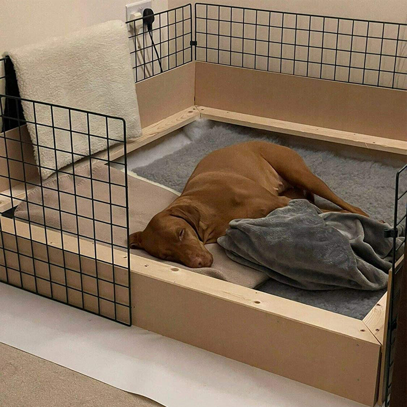 1.5m x 1.5m x 75cm High Whelping Box (5ft x 5ft) For Large Dogs Puppie ...